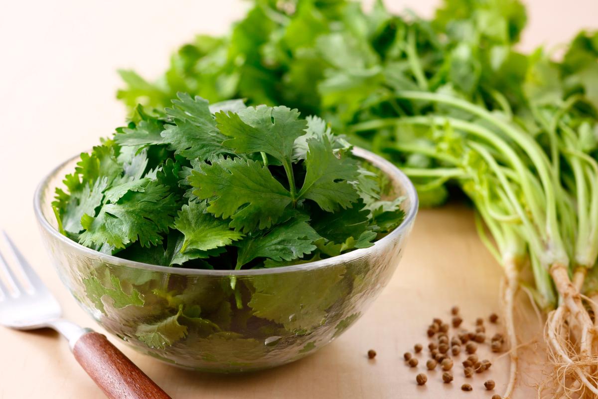 ¿Por qué a algunas personas el cilantro les sabe a jabón? Conoce el gen ...