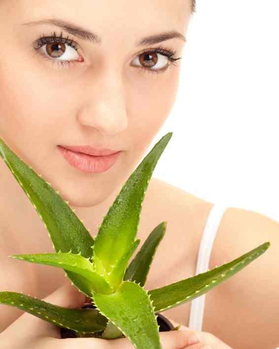 Cómo usar la sábila para adelgazar