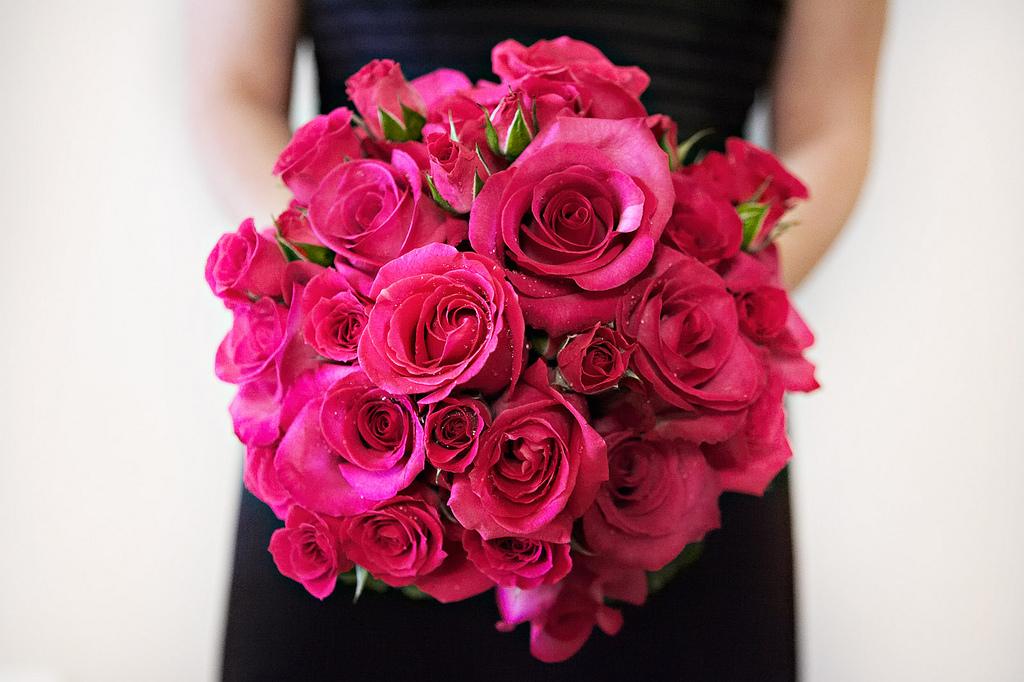 Significado de las rosas según su color - Guía para saber qué podemos ...