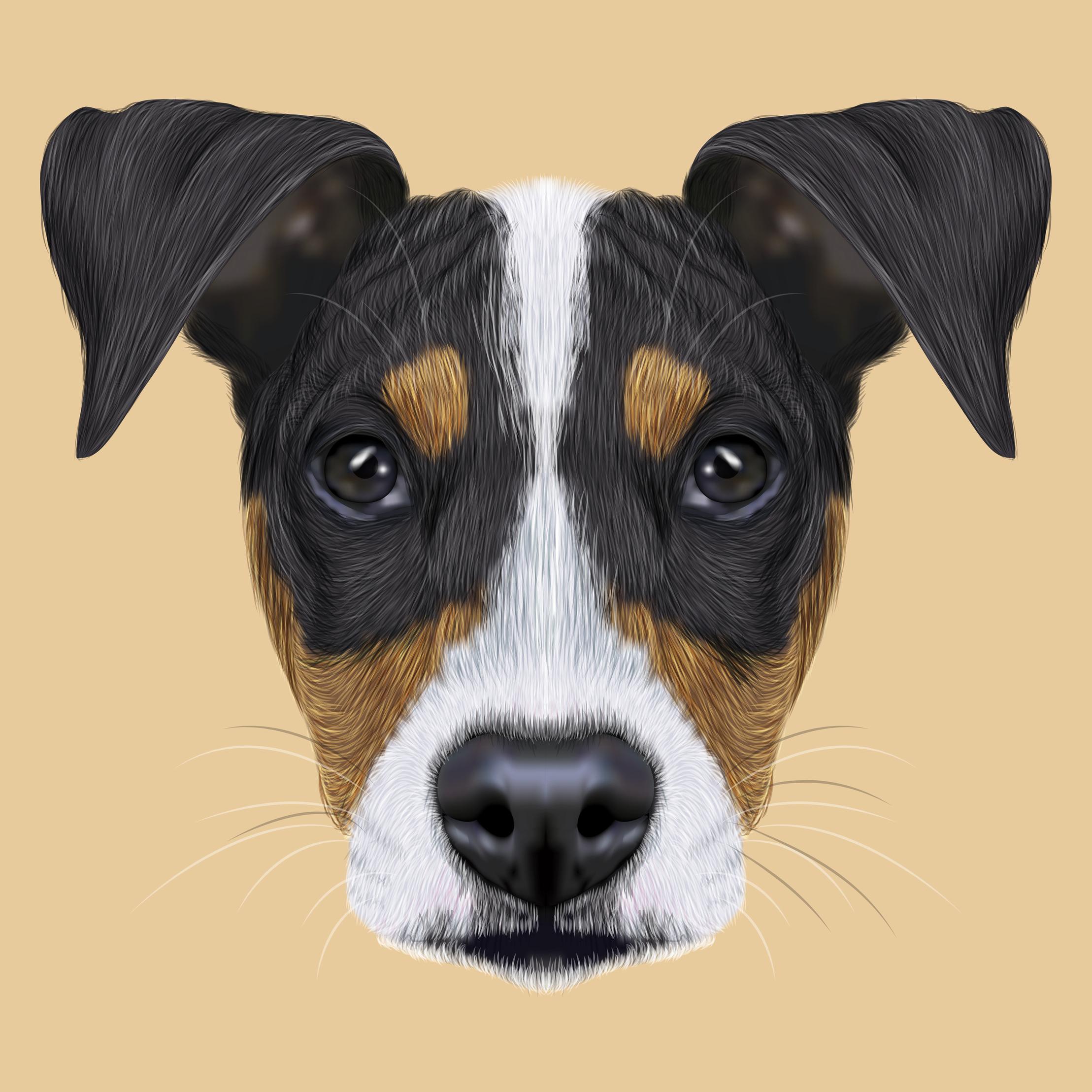 Cómo es el bodeguero andaluz