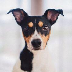 Cómo es el bodeguero andaluz