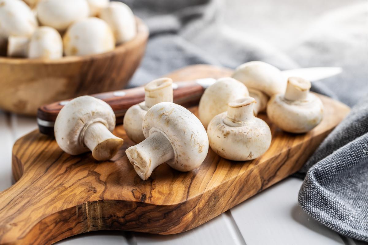 ¿Las setas son verduras o proteínas? - ¡Descubre qué son y cuáles son ...