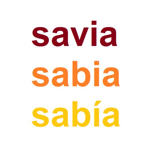Cuál es la diferencia entre savia, sabia y sabía