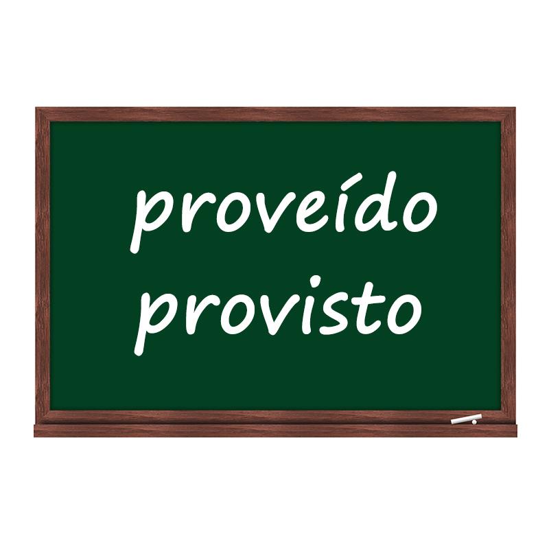 Cómo se dice proveído o provisto