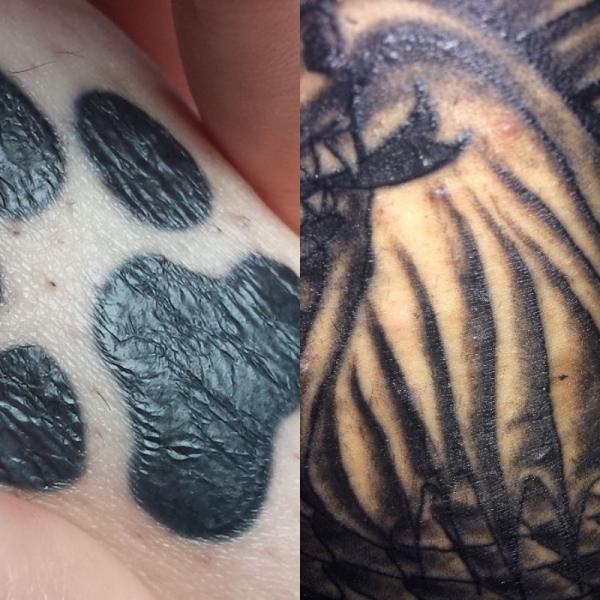 Etapas De La Curación Del Tatuaje Parches Dérmicos Para Tatuajes