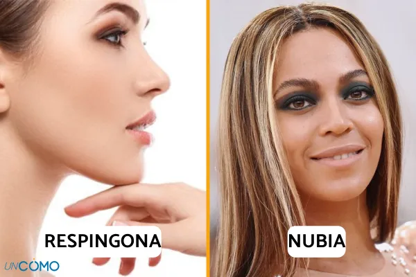 Tipos De Nariz Humano Tipos De Narices Y Cómo Diferenciarlos Tu