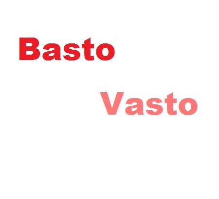 Cuál es la diferencia entre basto y vasto - 3 pasos