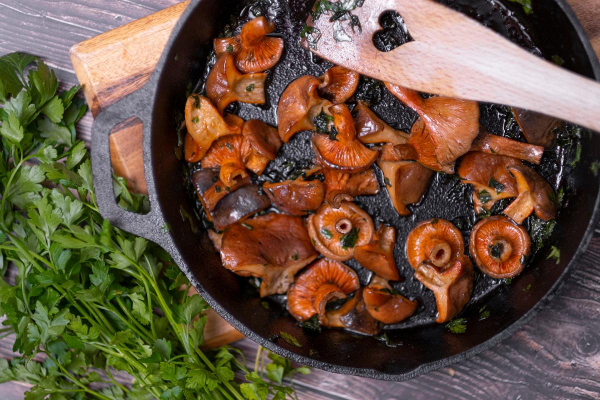 Níscalos: propiedades, beneficios y cómo comer estas setas