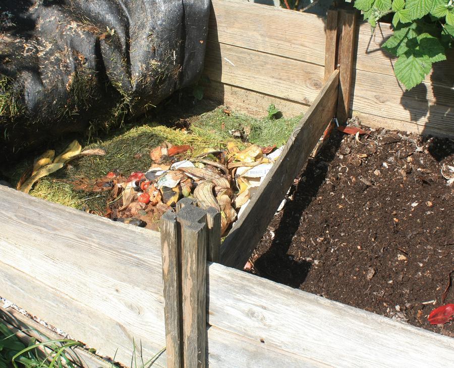 Cómo hacer compost en casa - 10 pasos