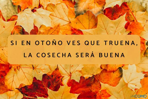 Refranes de otoño - ¡Descubre las frases hechas que describen los ...