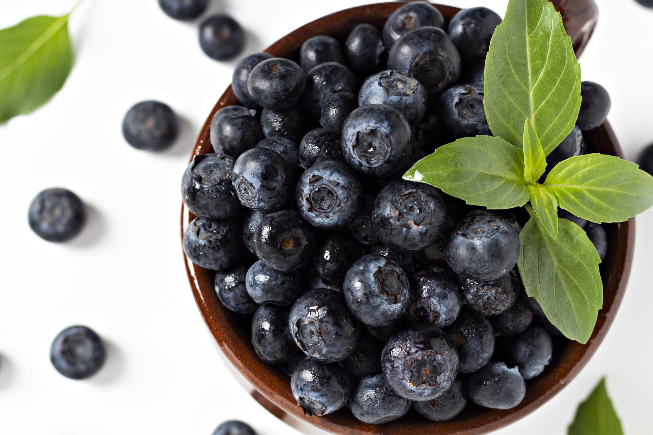 Arándanos azules: propiedades y beneficios - Descubre cómo tomar este ...