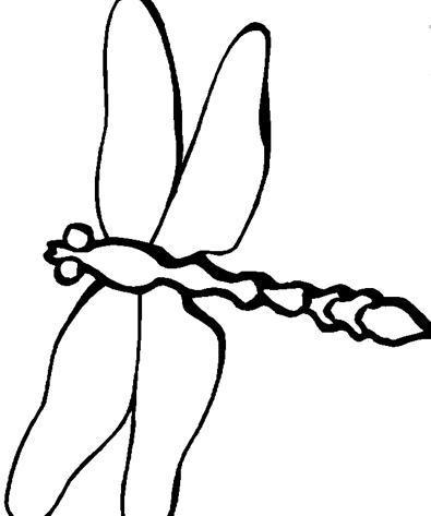 Cómo dibujar una libélula - 5 pasos