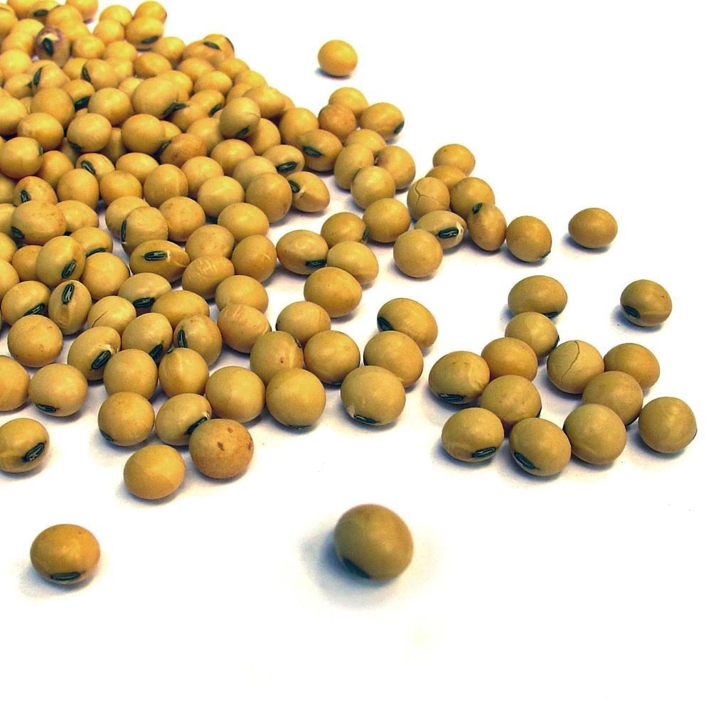 Cómo utilizar la soja para reemplazar la proteína de suero