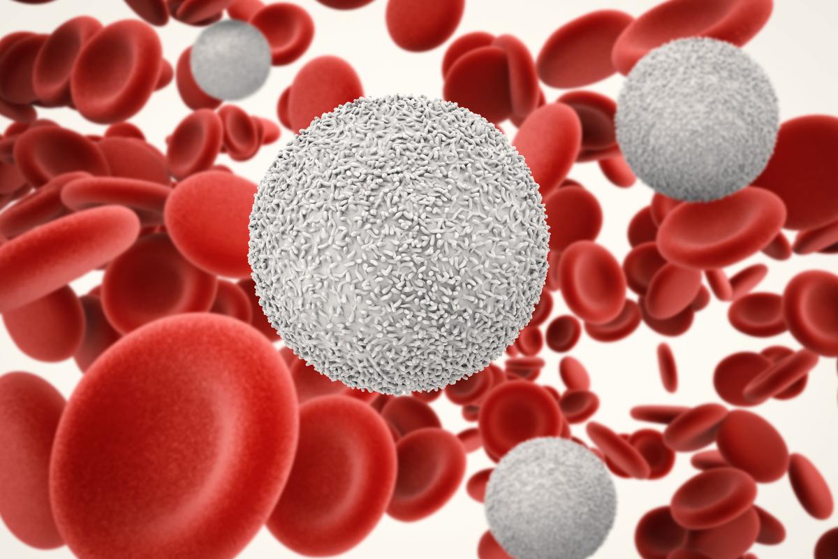 Cuáles son los valores normales de leucocitos en orina - ¡Descubre cuál ...