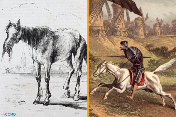 10 nombres de caballos famosos y sus historias más inspiradoras y ...