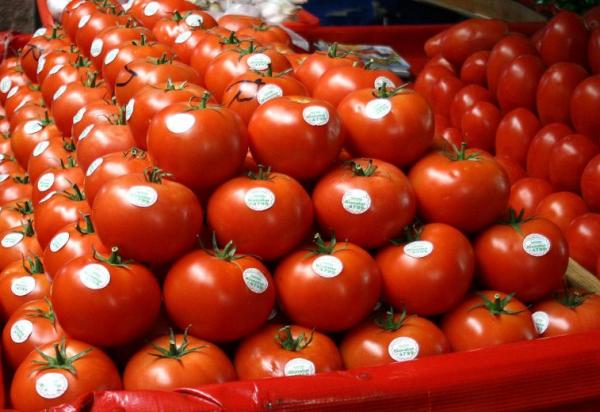 Por qué son buenos los OGM