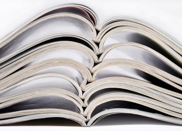 Cómo se dice el editorial o la editorial