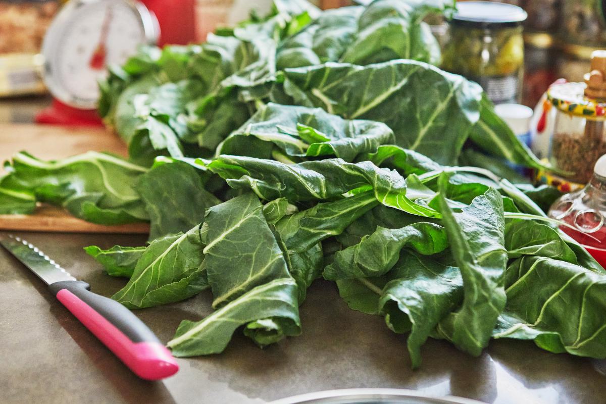 Cómo cocinar acelgas - Descubre cómo esta receta fácil y deliciosa