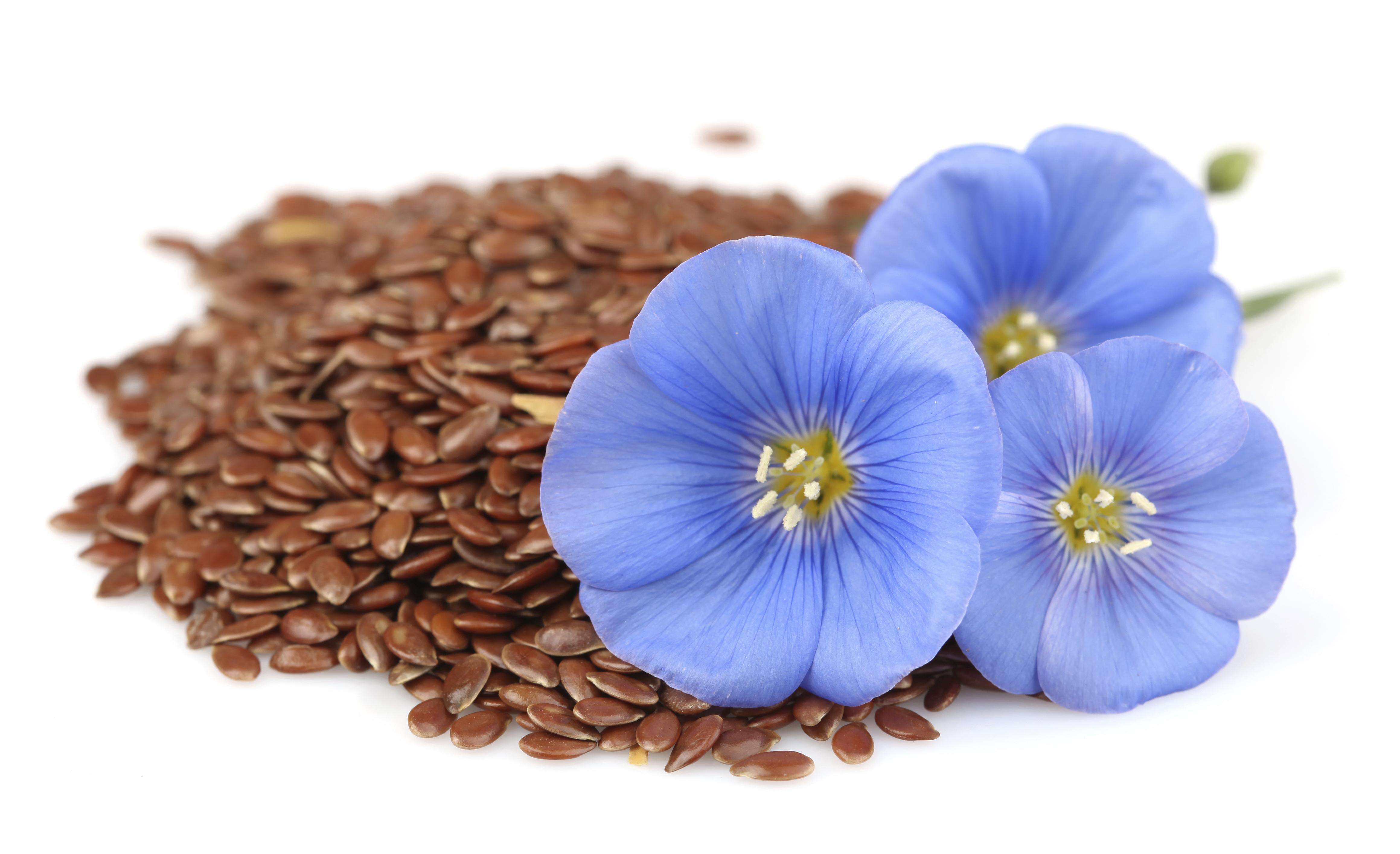 Trucos de belleza con linaza