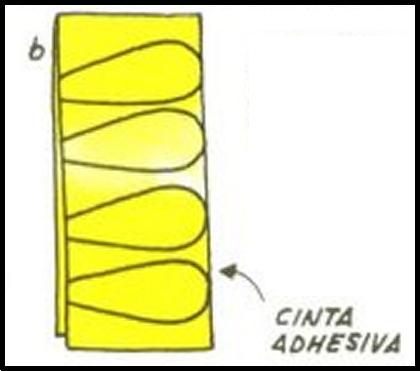 Cómo hacer una mosca en casa - 3 pasos