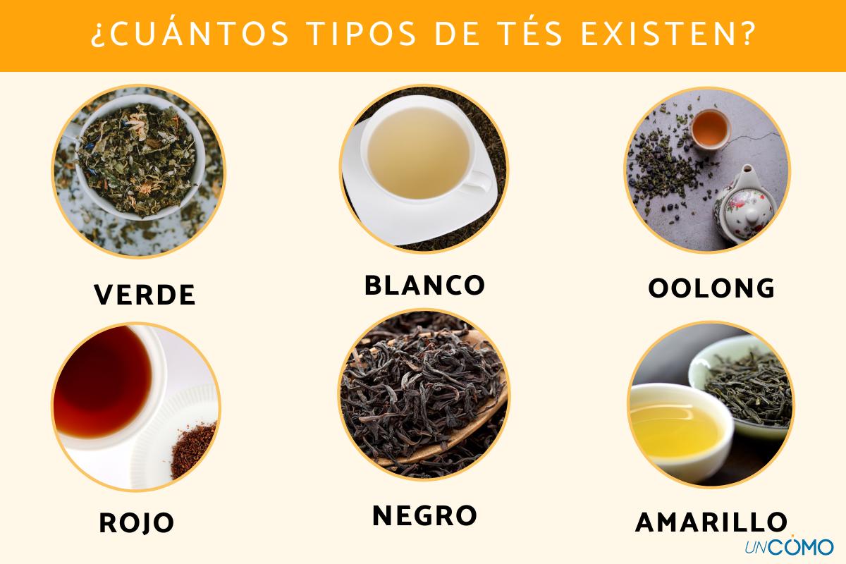 Cuántos tipos de tés existen - Desde los diferentes colores (rojo ...