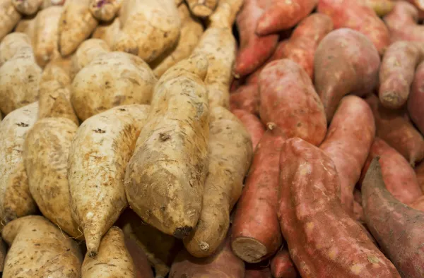 Diferencia Entre Batatas Y ñames Boniato + Que Fruta