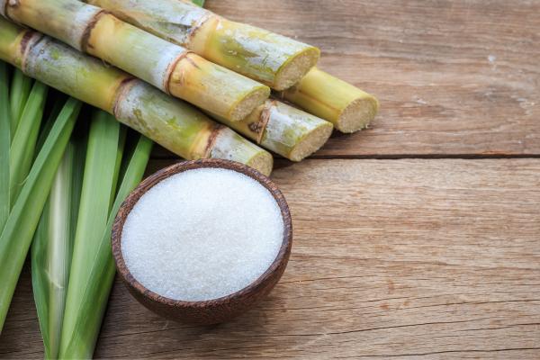 ¿De dónde sale el azúcar? - ¡Descubre cuál es su origen y cuál es la ...