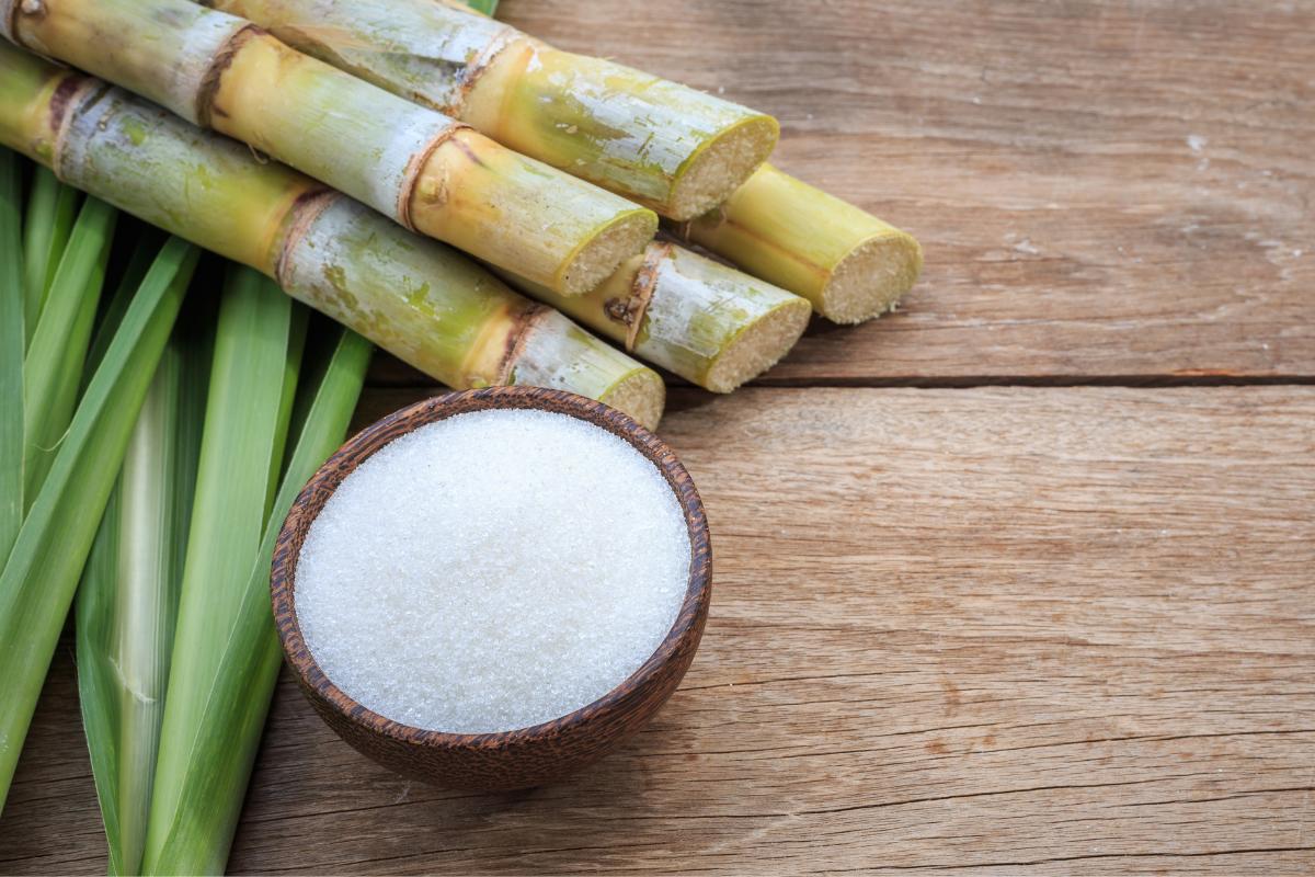 ¿De dónde sale el azúcar? - ¡Descubre cuál es su origen y cuál es la ...