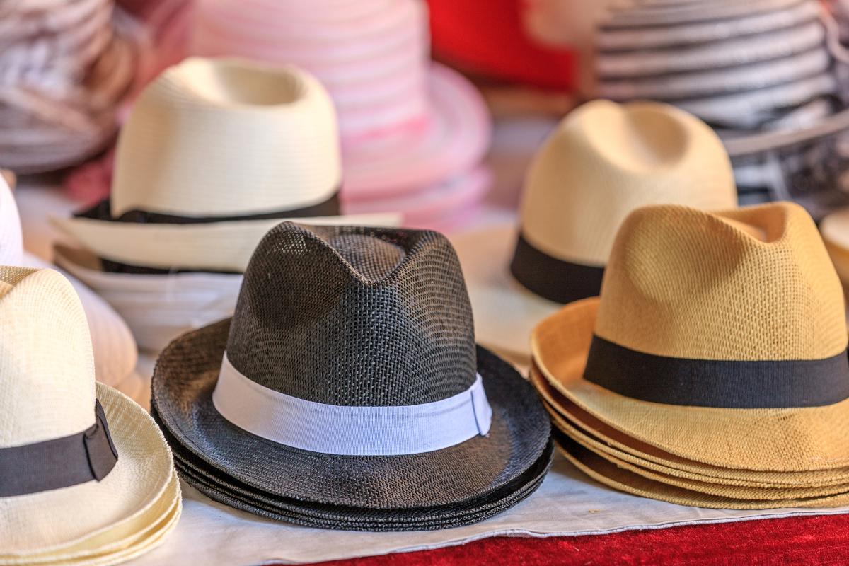 10 tipos de sombreros - ¡Te explicamos sus características y el impacto ...