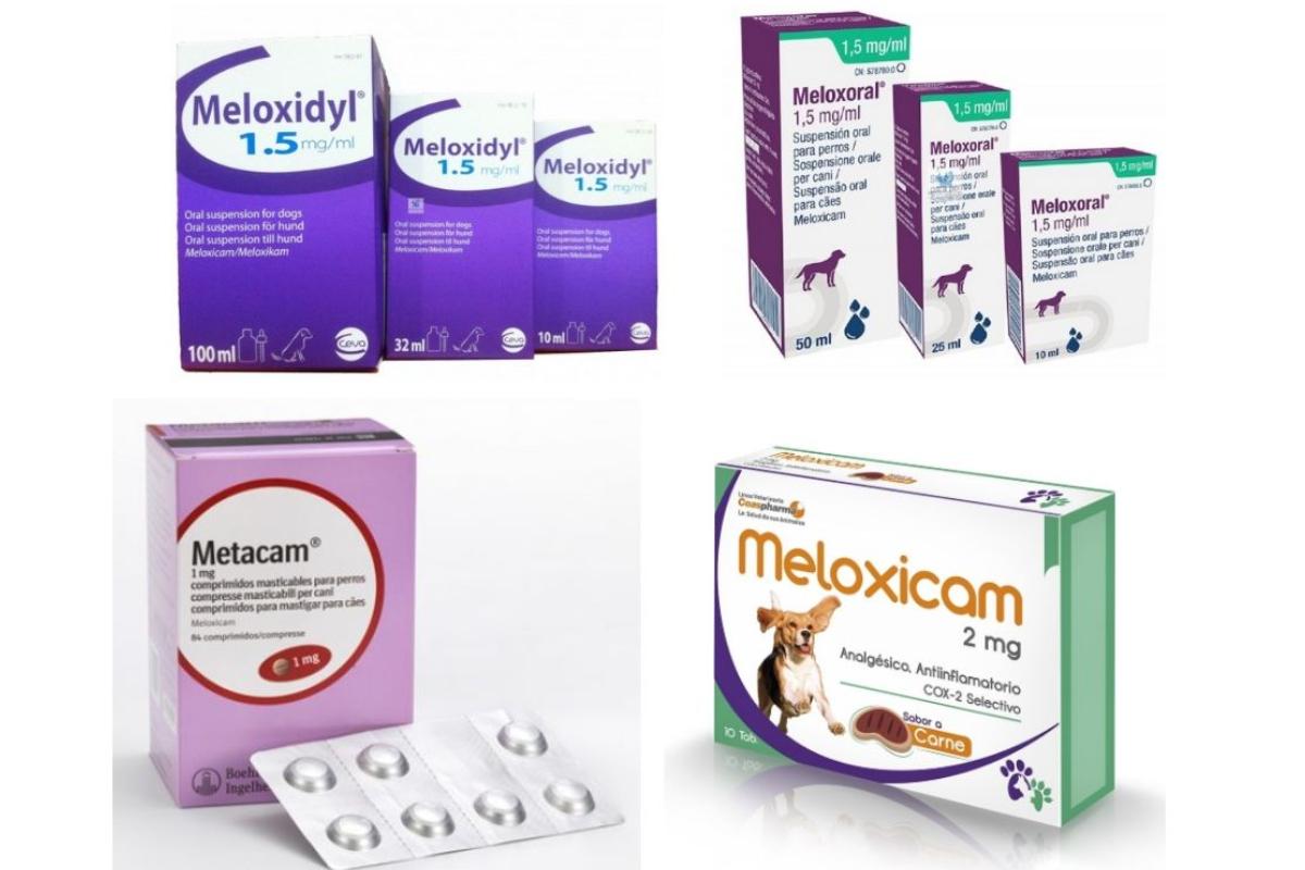 Meloxicam para perros: para qué sirve y dosis