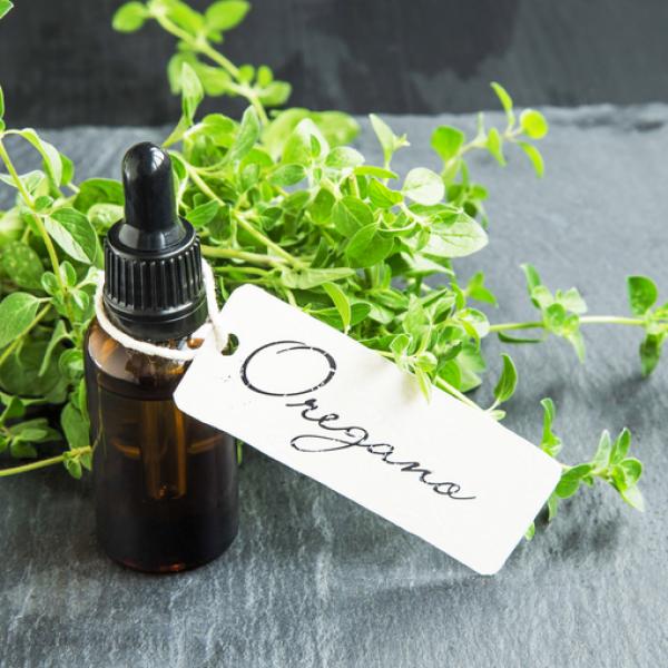 oregano doterra para que sirve