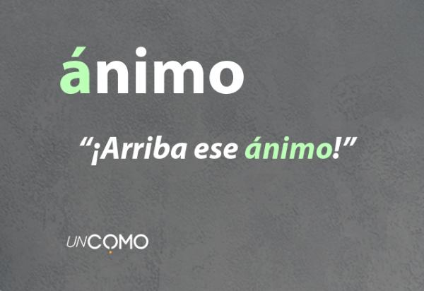 Cómo se escribe animo, ánimo o animó - todas son correctas