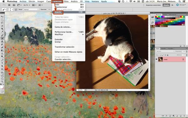 Cómo hacer un fotomontaje en Photoshop - 11 pasos