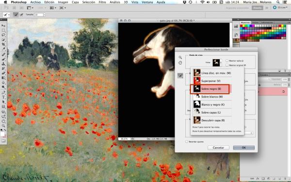 Cómo hacer un fotomontaje en Photoshop - 11 pasos