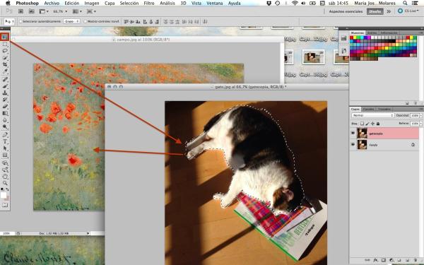 Cómo hacer un fotomontaje en Photoshop - 11 pasos