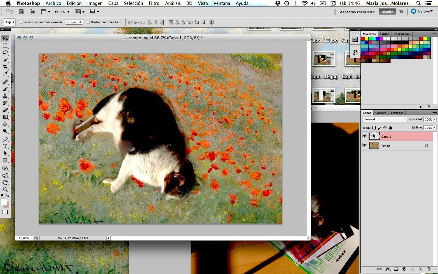 Cómo hacer un fotomontaje en Photoshop - 11 pasos