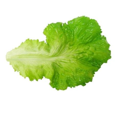 Qué hacer si se quema la comida - 7 pasos