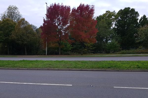 ¿Cuál es la diferencia entre autopista y autovía? Conoce qué son y en ...