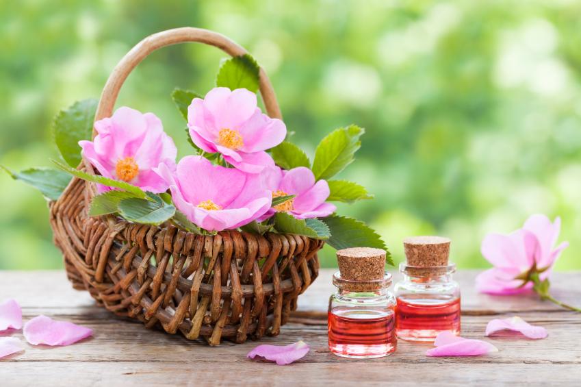 aceite rosa mosqueta para el pelo