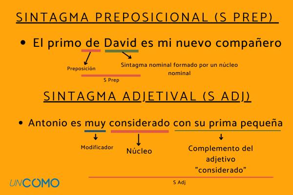 Tipos de sintagmas: cuáles son y ejemplos - Descubre cómo ...