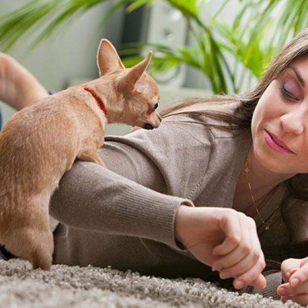 Como Hago Para Que Mi Perro Me Quiera Mas