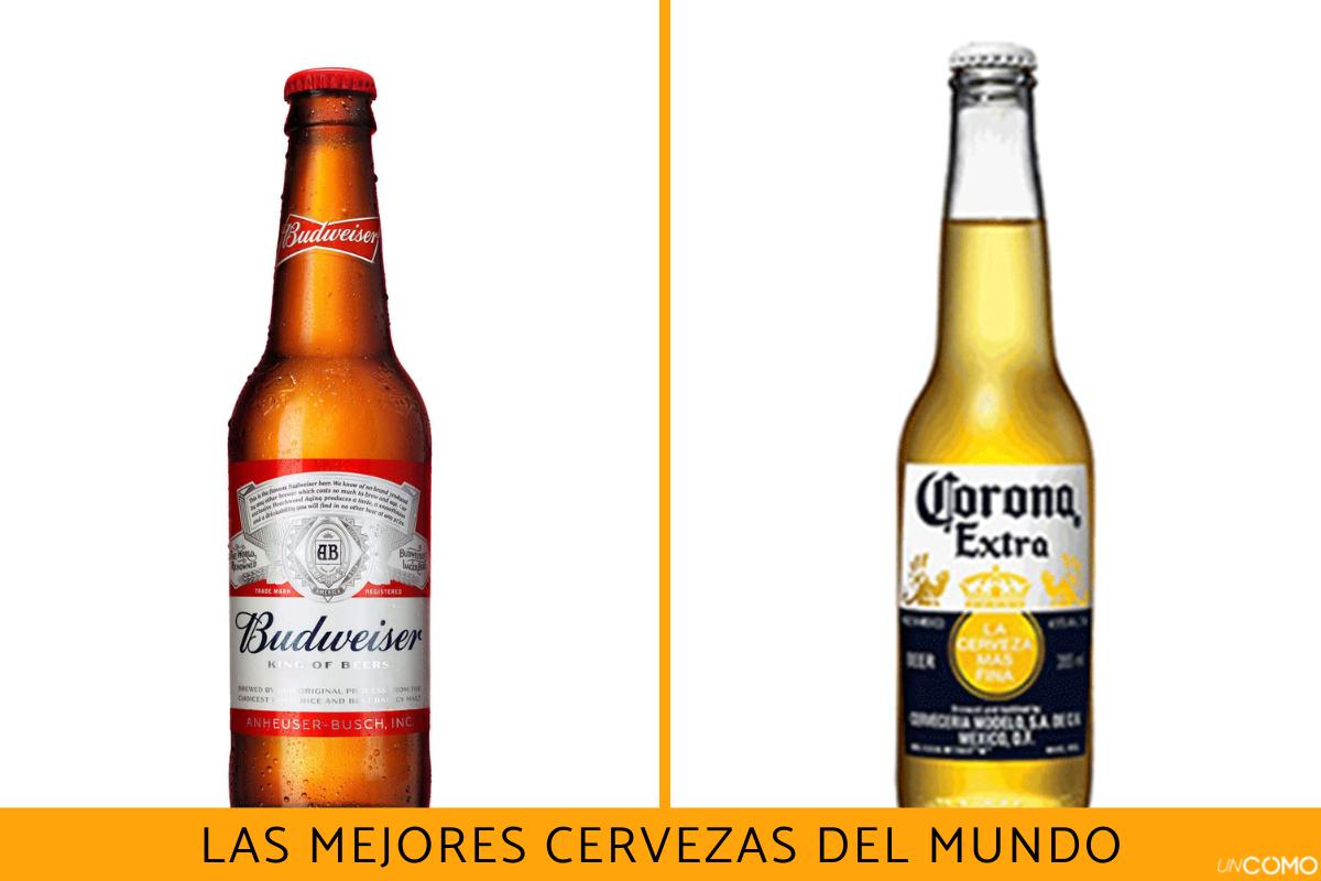 Guía con las mejores cervezas del mundo