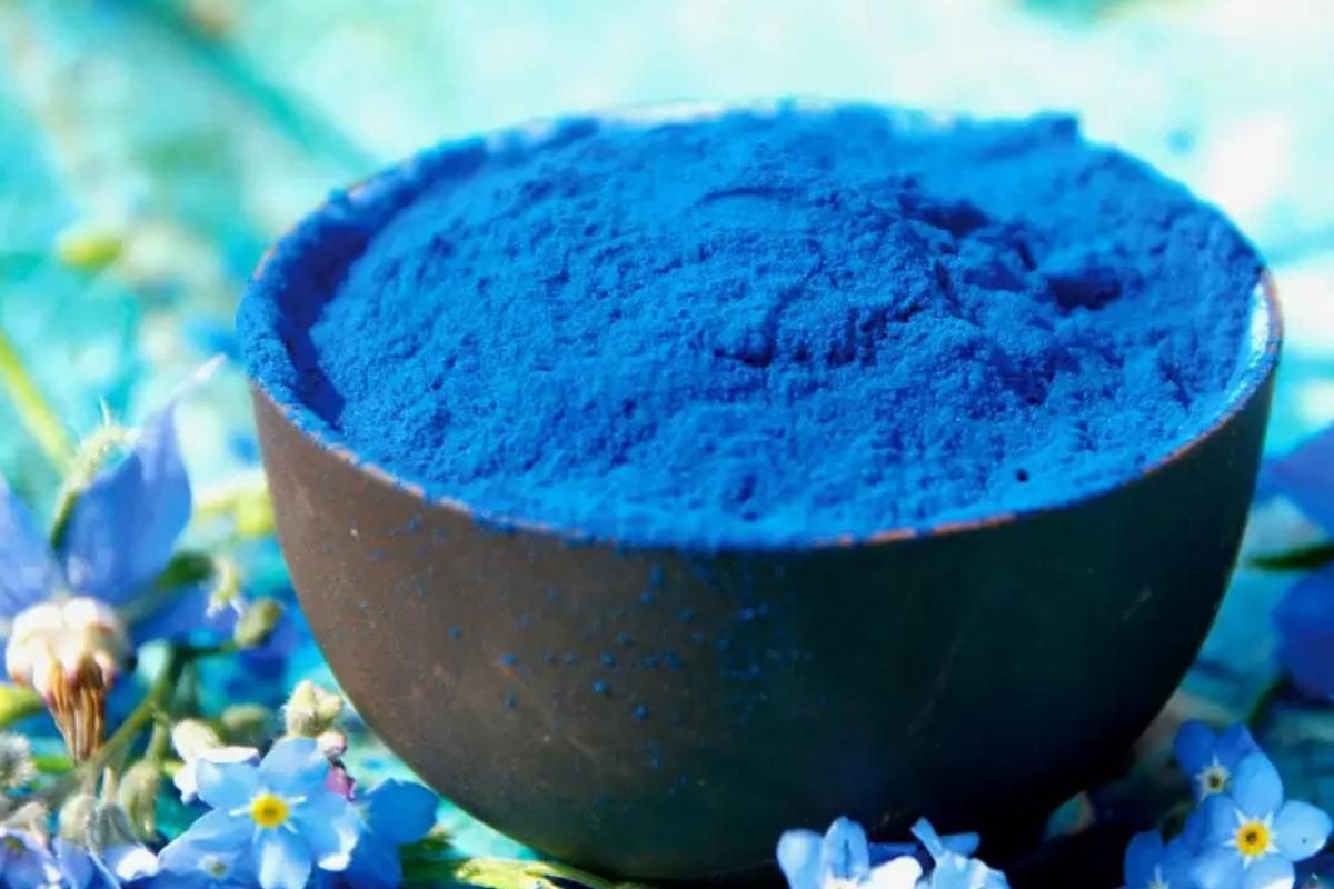 Espirulina azul: qué es, propiedades, beneficios y contraindicaciones ...