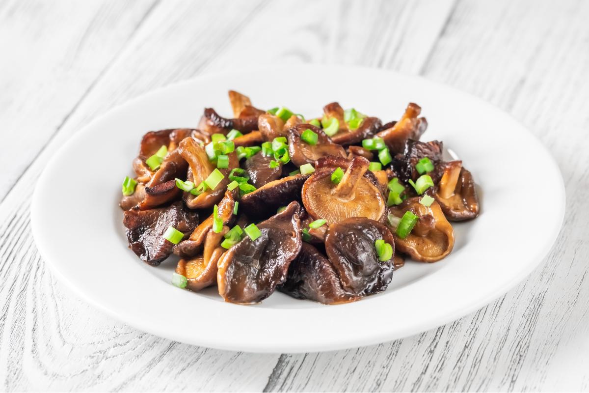 Setas shiitake: propiedades, beneficios para nuestra salud y contraindicaciones