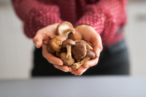 Setas shiitake: propiedades, beneficios para nuestra salud y contraindicaciones