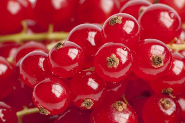 Cómo hacer una mermelada de grosellas - Descubre esta receta fácil para ...