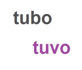 Cuál es la diferencia entre tubo y tuvo