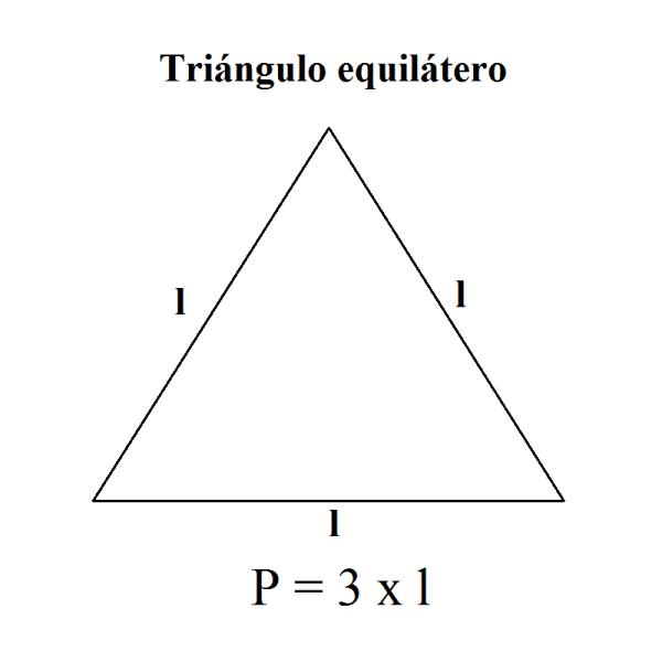 triangulo rectangulo perimetro
