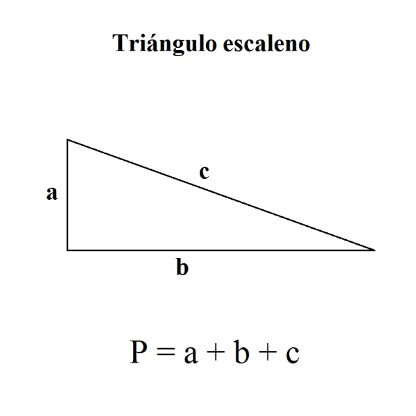 triangulo rectangulo perimetro