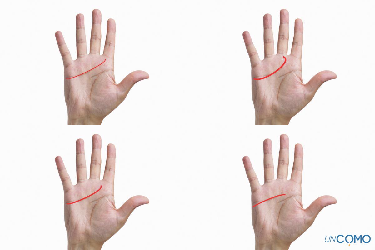 Cómo leer la mano - ¡Descubre cuál es el significado de cada línea de ...